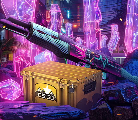 Rare, Cheap, and Top-Rated Case Options at CS2Land